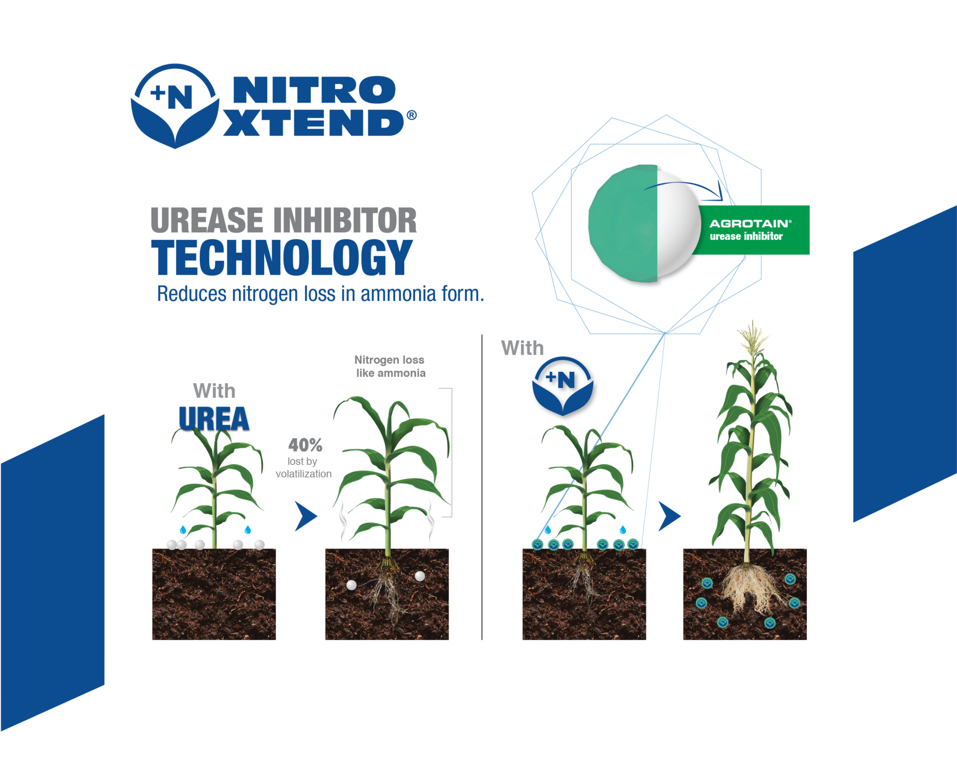 NITRO XTEND® - Disagro Guatemala