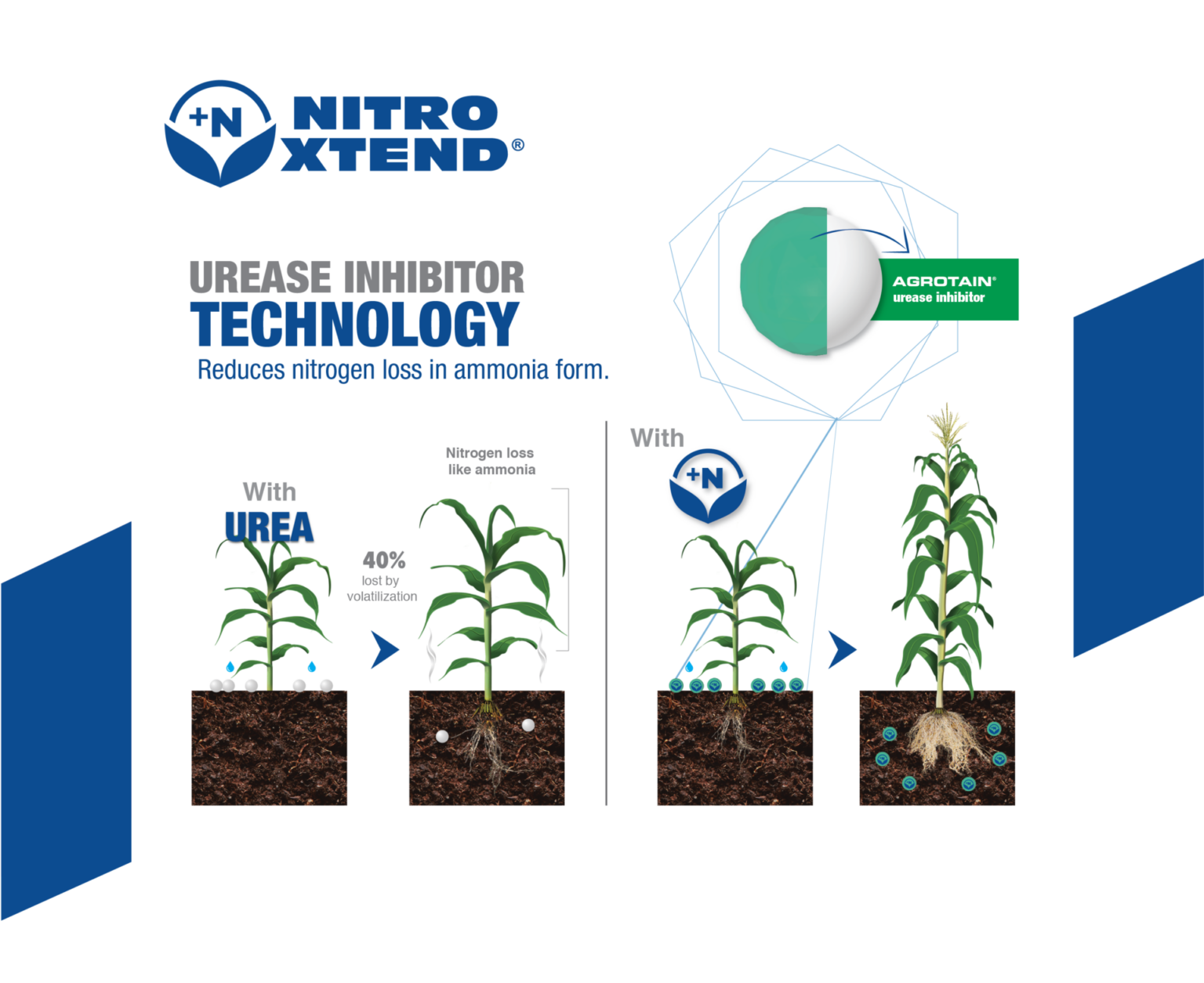 NITRO XTEND® XP - Disagro Guatemala