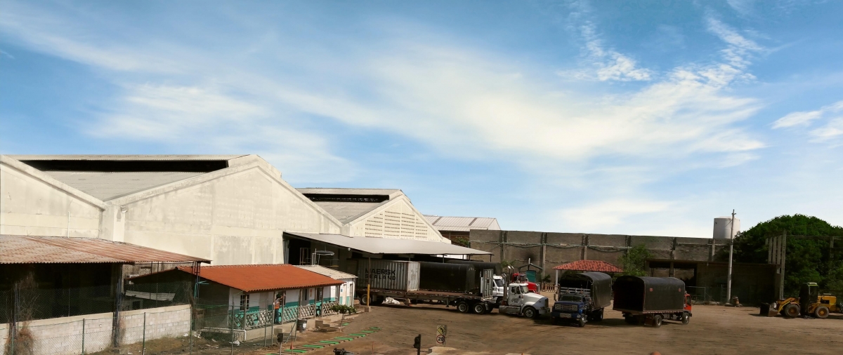 Presencia Regional DISAGRO - Disagro Guatemala