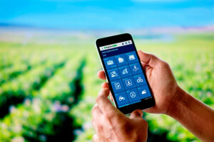 About Us - Disagro Guatemala