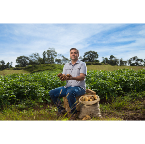 Home - Disagro Guatemala