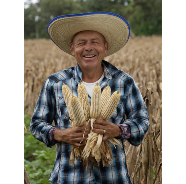 Home - Disagro Guatemala